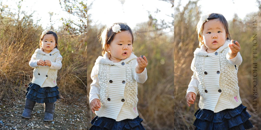 The Matsuda Family Holiday Portraits - Kate Noelle Photography Blog